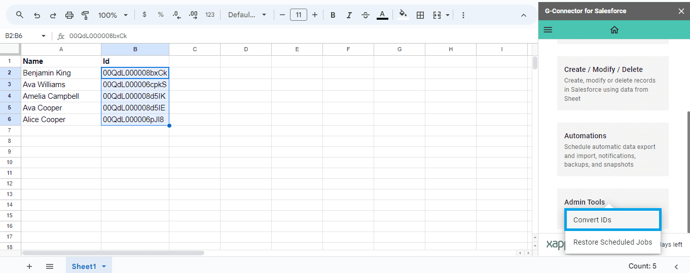 Salesforce 15 to 18 Converter | Convert 15 to 18 Character IDs Easily - Xappex