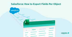 Salesforce: How to Export Fields Per Object - Xappex