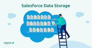Salesforce Data Storage: How to Manage & Optimize It - Xappex